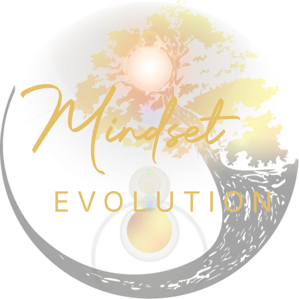 Mindset Evolution - Mindset Evolution